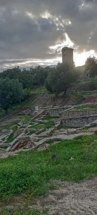 Area Archeologica di Velia - Paestum - Pestum